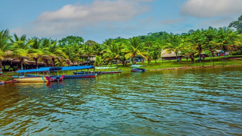 From Tarapoto: Blue Lagoon Full Day Tour with lunch - Authentic Experiences and Guest Feedback