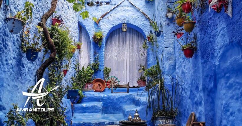 From Tarifa: 2-Day Private Trip to Tangier and Chefchaouen - Transportation and Logistics