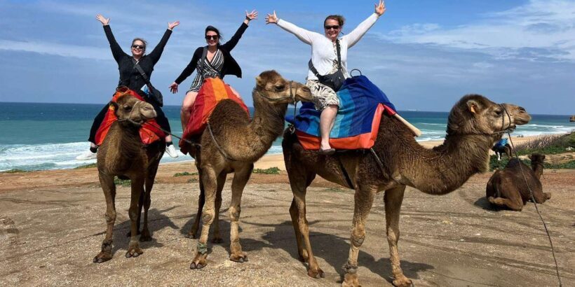 From Tarifa : Tangier tours with ticket and Moroccan food - The Final Word