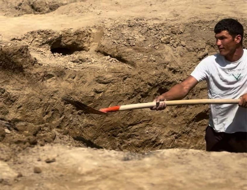 From Tashkent: 14-Day Silk Road Archeology Immersive Tour - Key Points