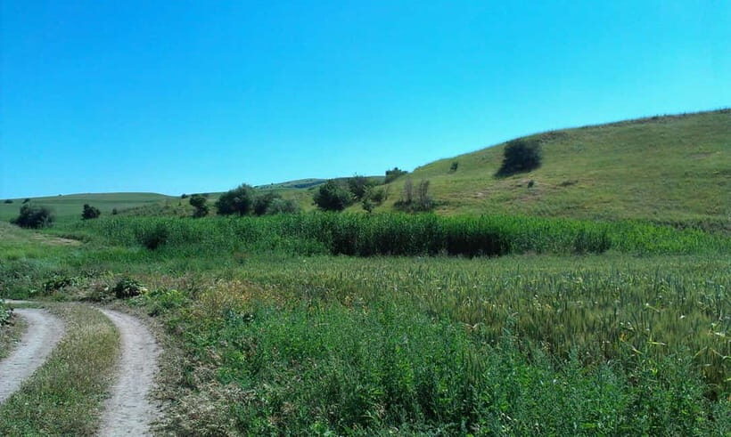 From Tashkent: Chimgan Valley Hiking Day Trip - The Itinerary: A Mix of Views and Trails