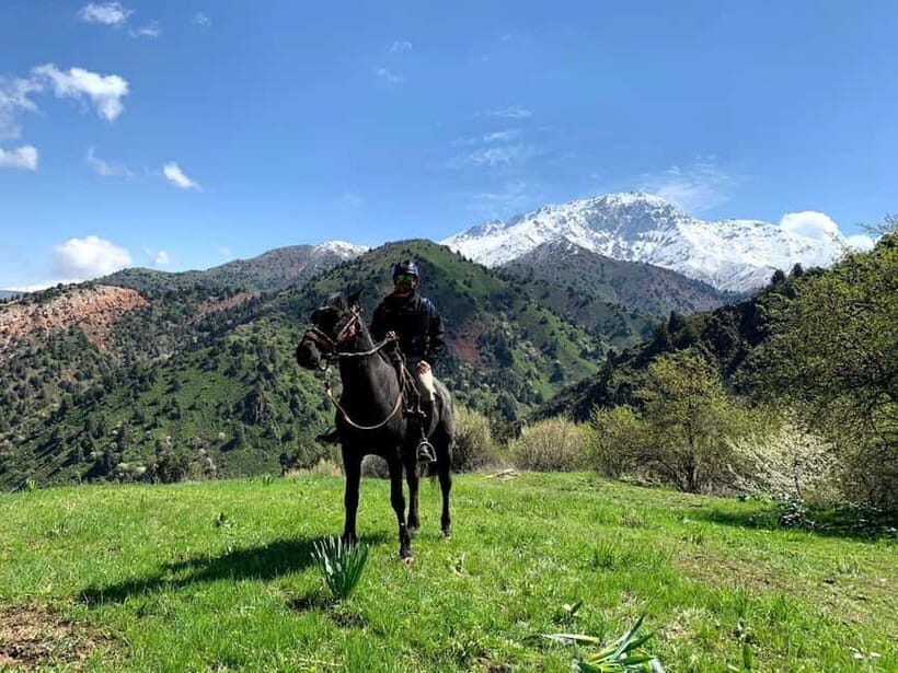 From Tashkent: Chimgan Valley Hiking Day Trip - Practical Details and Value