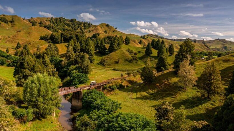 From Taumarunui: The Republic Rail Cart Adventure - From Taumarunui: The Republic Rail Cart Adventure — A Journey Through New Zealand’s Hidden Corners