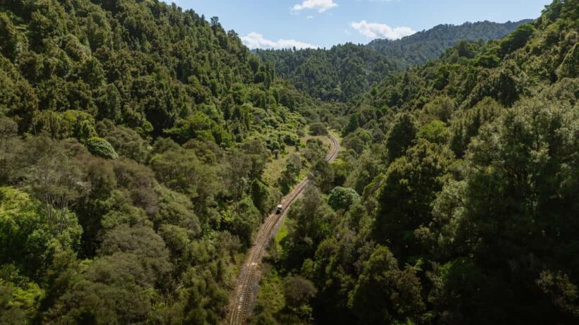 From Taumarunui: The Republic Rail Cart Adventure - The Experience: What Makes It Special