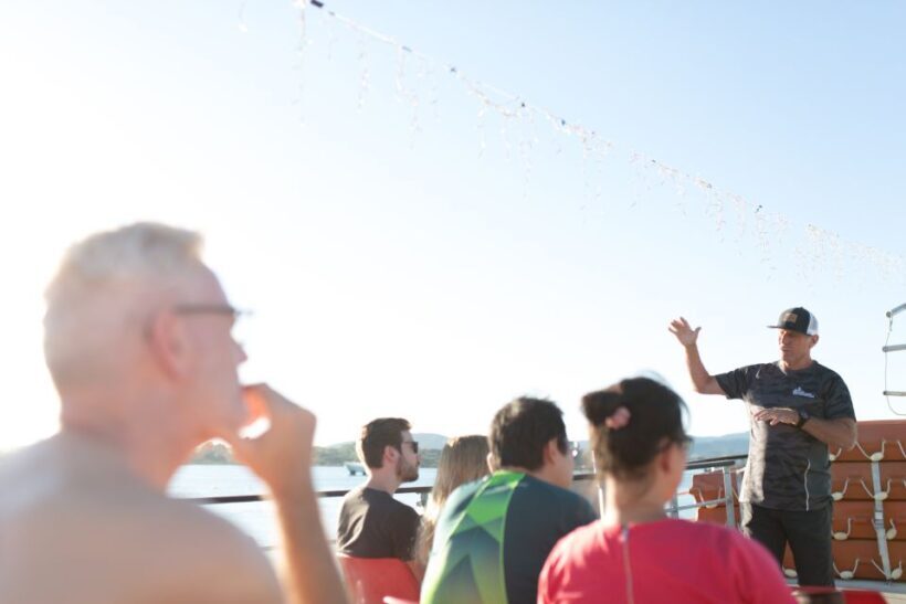 From Tauranga: Dolphin and Wildlife Cruise - FAQs