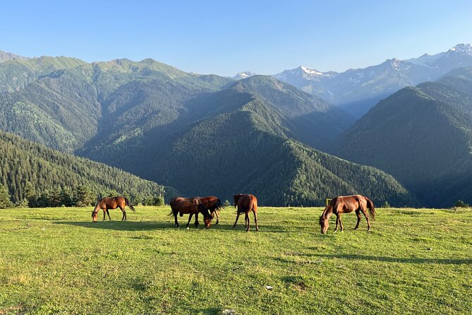 From Tbilisi: Svaneti 4 Days Private tour (Mestia, Ushguli) - Practical Details and Considerations