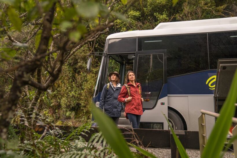 From Te Anau: Doubtful Sound Coach & Cruise - Practical Tips for Travelers
