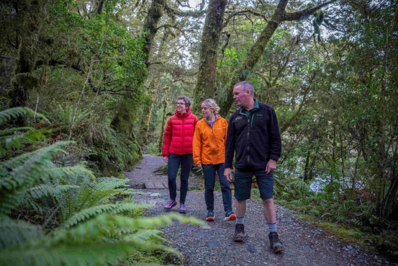 From Te Anau: Milford Sound Coach, Cruise, and Walks - Short Walks and Wilderness Experiences