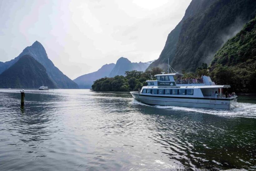 From Te Anau: Milford Sound Coach, Cruise, and Walks - Food and Value