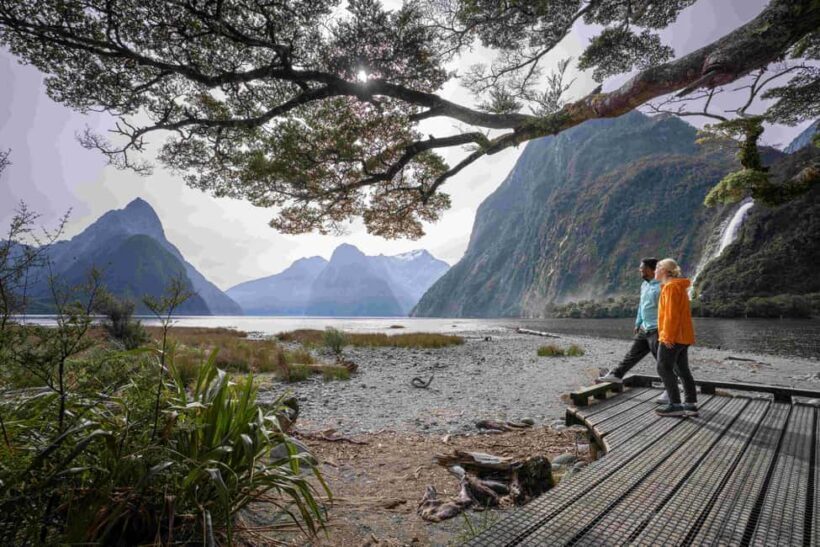 From Te Anau: Milford Sound Coach, Cruise, and Walks - Weather and Seasonal Considerations