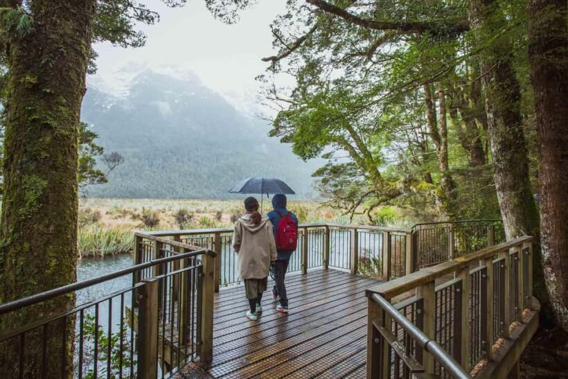 From Te Anau: Milford Sound Coach Tour and Cruise - Key Points
