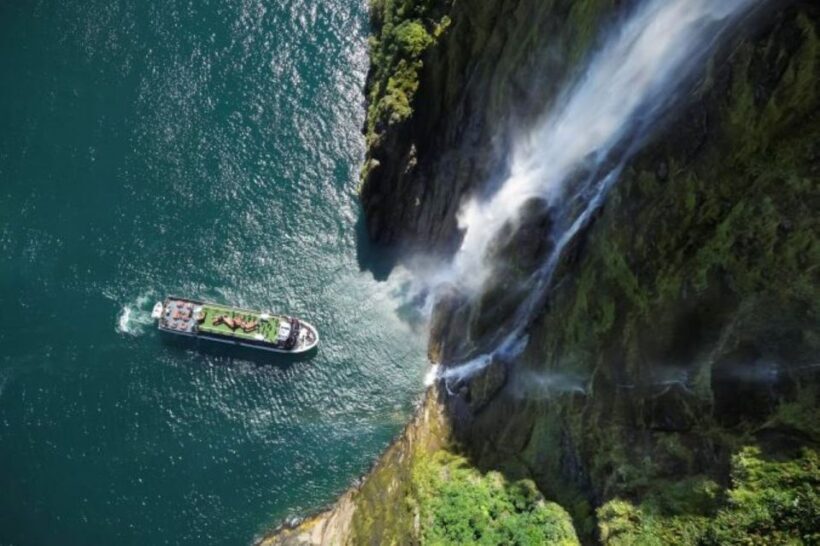 From Te Anau: Milford Sound Cruise and Coach Day Trip - The Value of the Experience