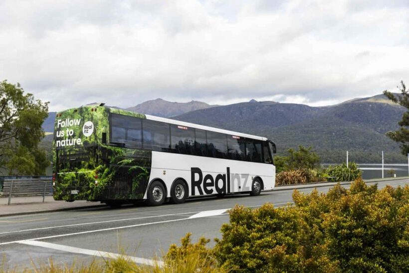 From Te Anau: Milford Sound Cruise and Coach Day Trip - Final Thoughts