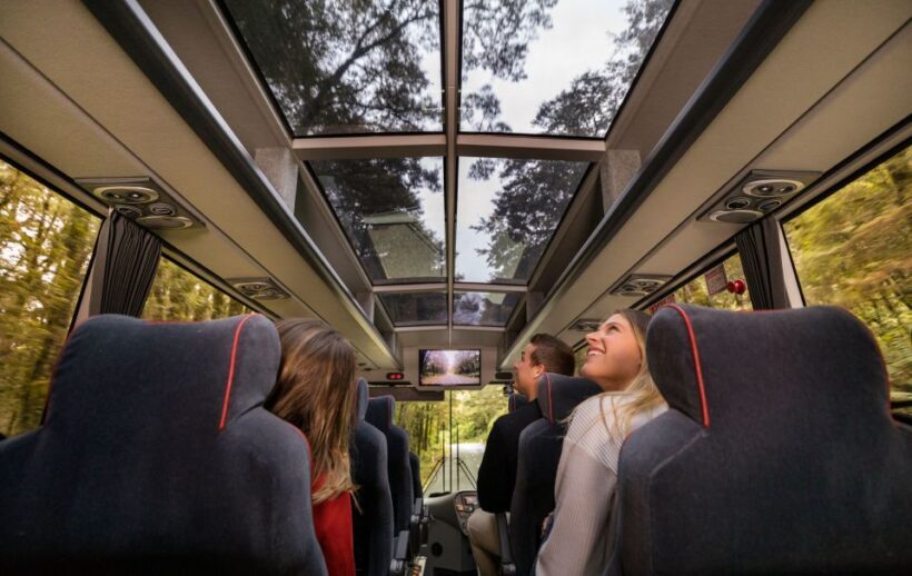 From Te Anau: Milford Sound Premium Bus Tour and Cruise - An Unforgettable Day Trip to Milford Sound