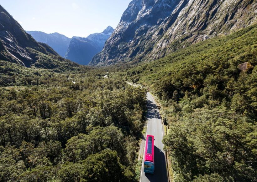 From Te Anau: Milford Sound Premium Bus Tour and Cruise - Pricing and Value