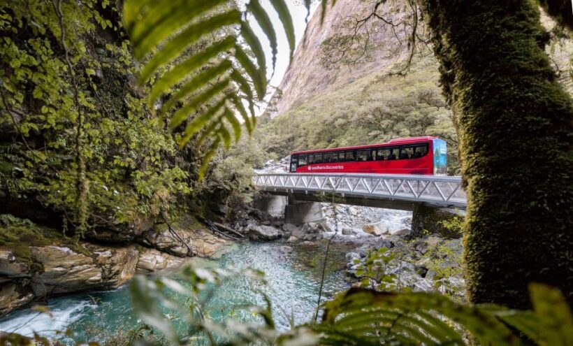 From Te Anau: Milford Sound Premium Bus Tour and Cruise - Who Should Book This Tour?