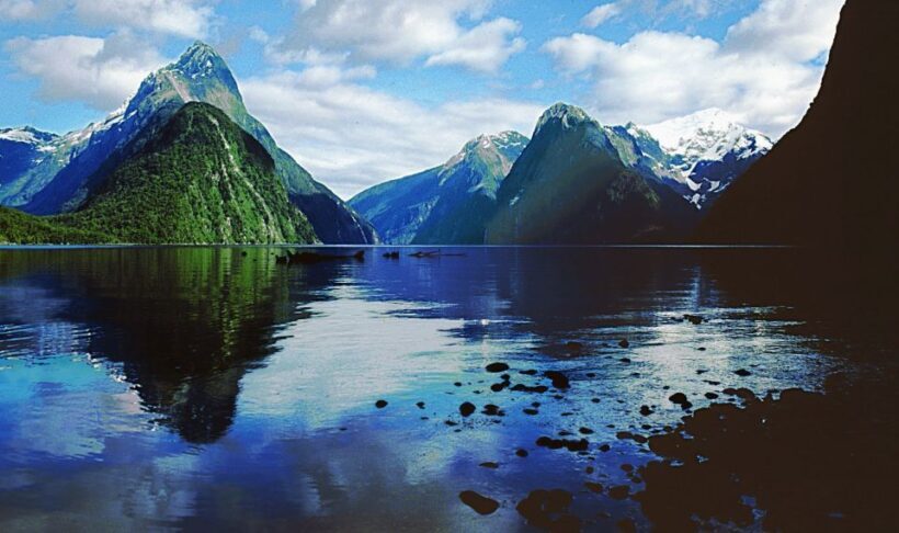 From Te Anau: Milford Sound Tour with Cruise and Lunch - Who Will Love This Tour
