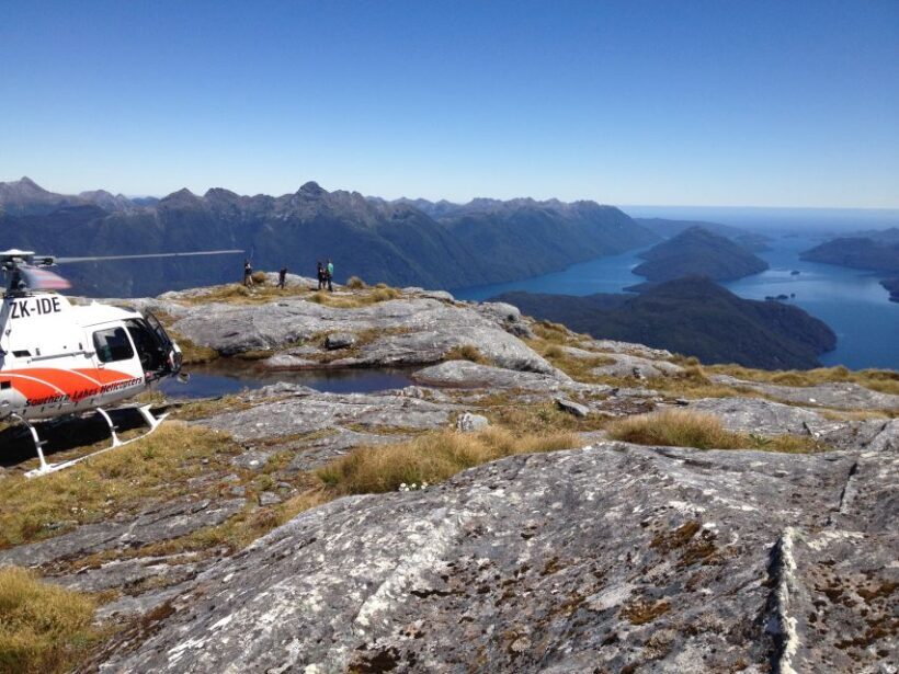 From Te Anau: Scenic Flight to Doubtful and Milford Sound - FAQ