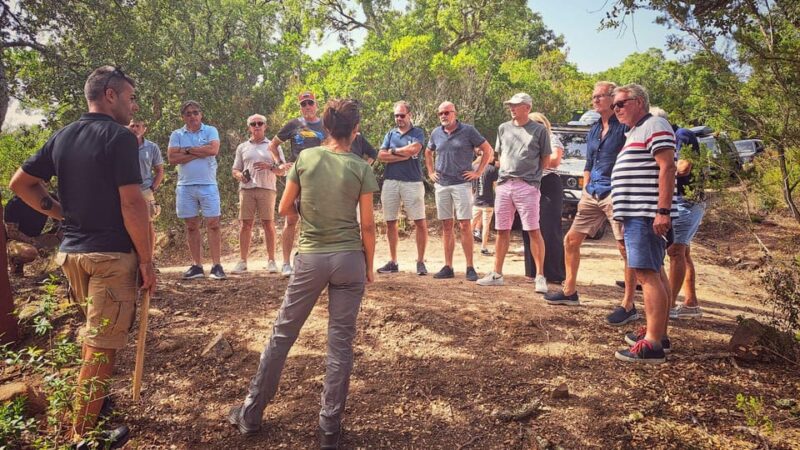 From Tempio: 4-Hour Jeep Tour - Key Points