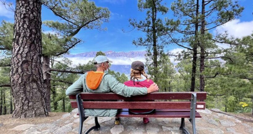 From Tenerife: Day Trip to La Palma Volcanic Landscapes - The Latest Volcano and Final Highlights