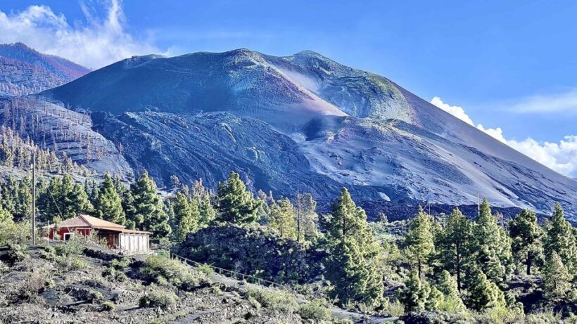 From Tenerife: Day Trip to La Palma Volcanic Landscapes - Final Thoughts