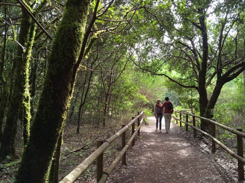 From Tenerife: La Gomera Day Trip with Guide - Frequently Asked Questions