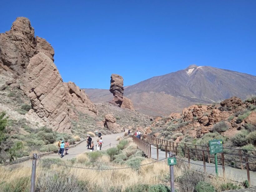 From Tenerife: Teide National Park Guided Day Trip by Bus - Key Points