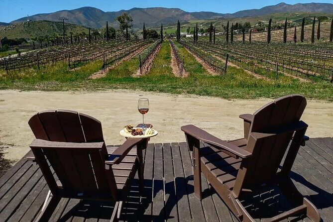 From the Border Valle de Guadalupe Private Wine Tour - Exploring the Valle de Guadalupe with a Private Touch