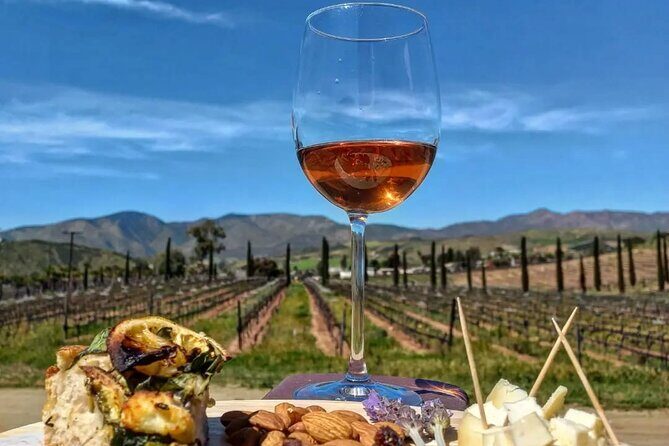 From the Border Valle de Guadalupe Private Wine Tour - What to Expect During Your Day in the Valle