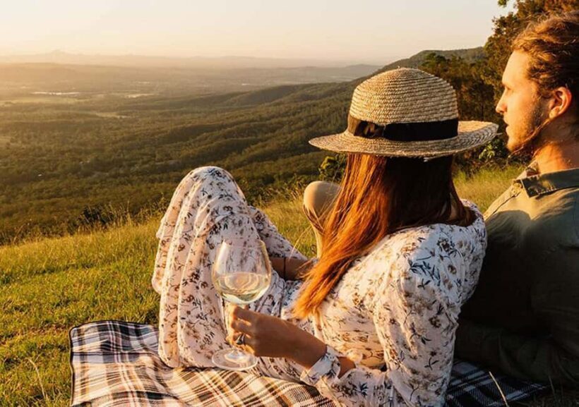 From the Gold Coast Hop on Hop off Bus to Tamborine Mountain - An Overview of the Experience