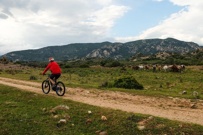 From the hills to Oasi Biderosa & Capo Comino with Electric Mountain Bikes - FAQ