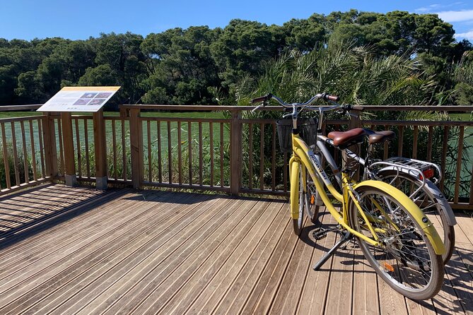 From the Old Town to the City of Arts Small Group Bike Tour - Practical Details