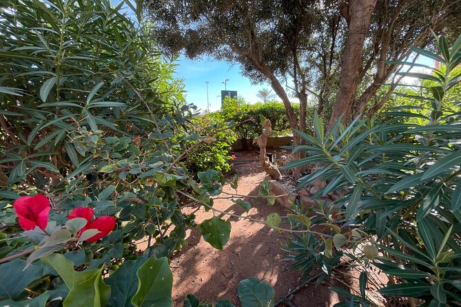 From the Old Town to the City of Arts Small Group Bike Tour - FAQ – Your Practical Questions Answered