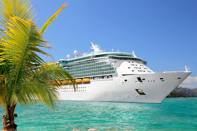 From the Port of Cannes Private Shore Excursion Customized - What to Expect: A Day on the Shore Excursion