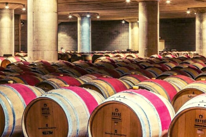 From the Vineyards to the Chalice: A Unique Tasting Experience - The Itinerary in Detail