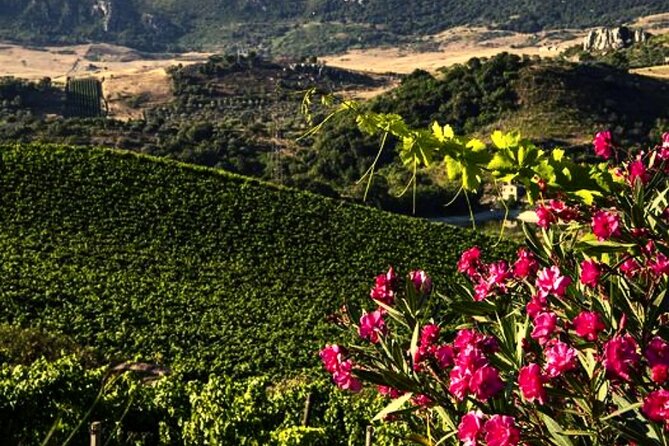 From the Vineyards to the Chalice: A Unique Tasting Experience - FAQ