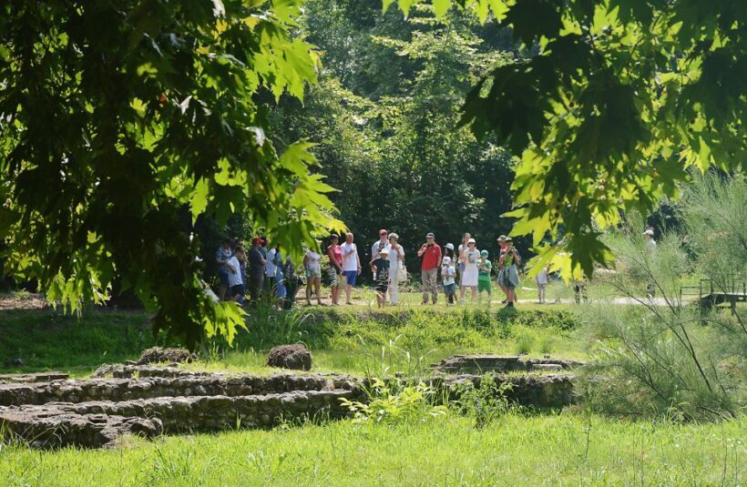 From Thessaloniki: Day Trip to Dion and Mount Olympus Park - An Introduction to the Experience