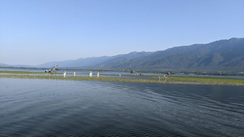 From Thessaloniki: Lake Kerkini, Boat Ride & Winery Day Tour - The Experience in Detail