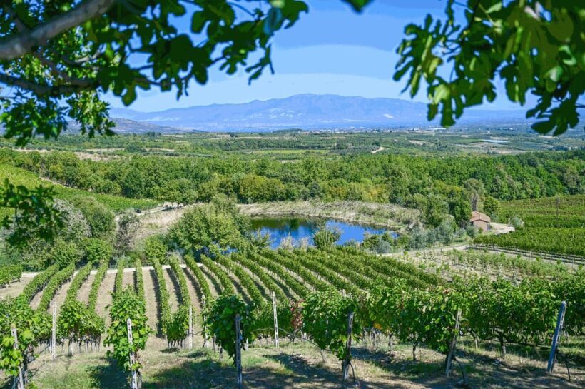 From Thessaloniki: Pella-Edessa-Naousa wine tasting - A Deep Dive into the Macedonia Day Tour