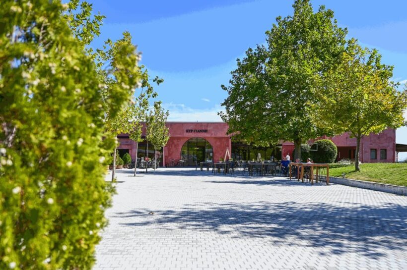 From Thessaloniki: Pella-Edessa-Naousa wine tasting - Who Should Consider This Tour?