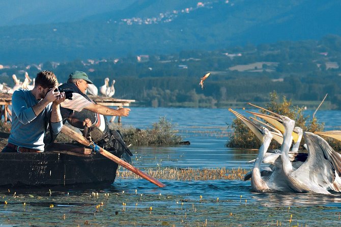 From Thessaloniki: Private Day Trip to Kerkini Lake - Birdwatching Opportunities