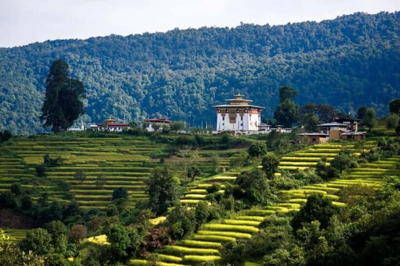 From Thimphu - Enchanting Bhutan tour with Guide 5 days Tour - The Experience Provider and Booking Flexibility