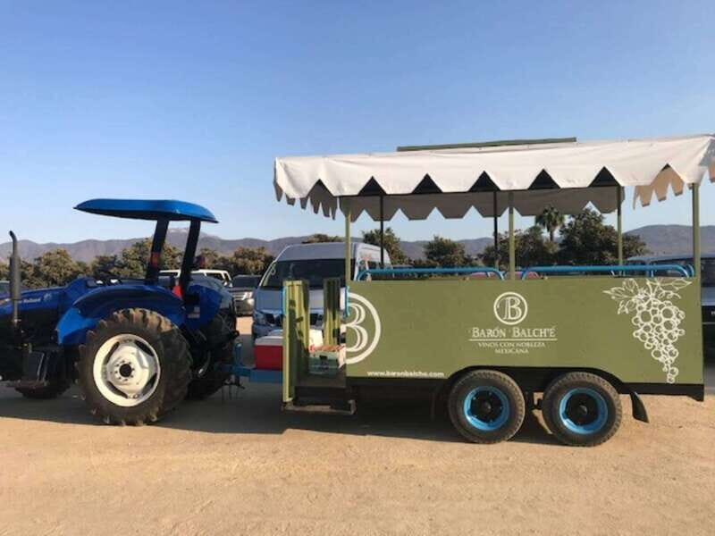 From Tijuana: Valle de Guadalupe Private Winery Tour - Who Will Love This Tour?
