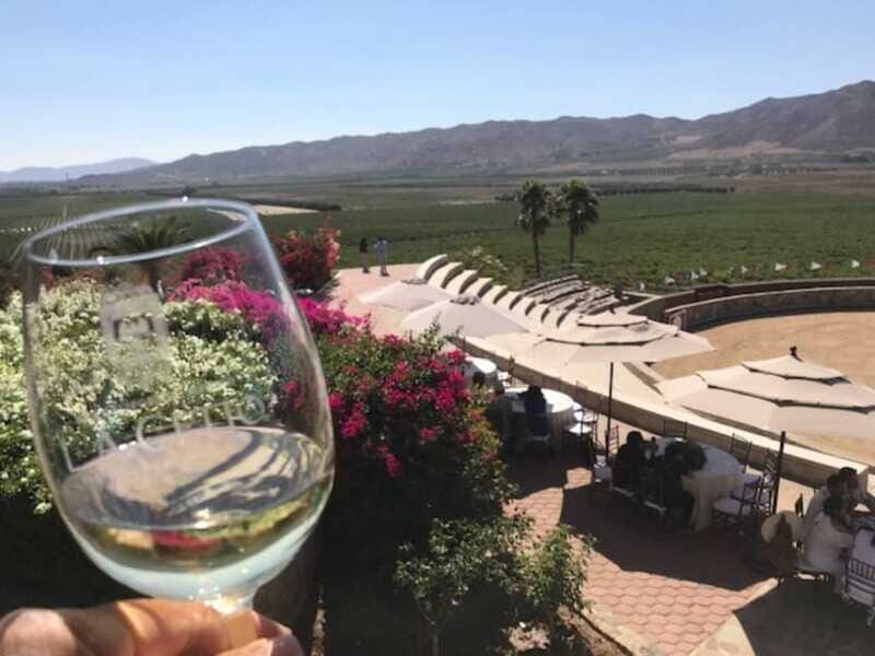 From Tijuana: Valle de Guadalupe Private Winery Tour - The Sum Up