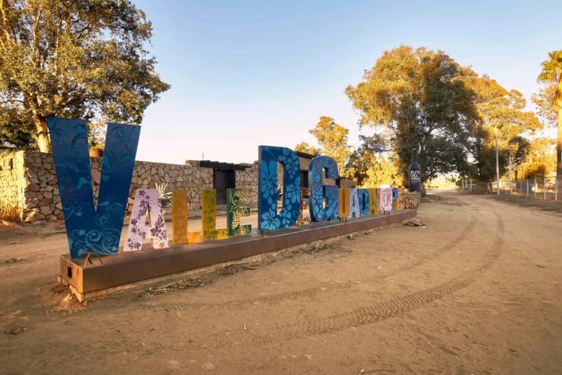 From Tijuana: Valle de Guadalupe Shared Winery Tour - FAQ