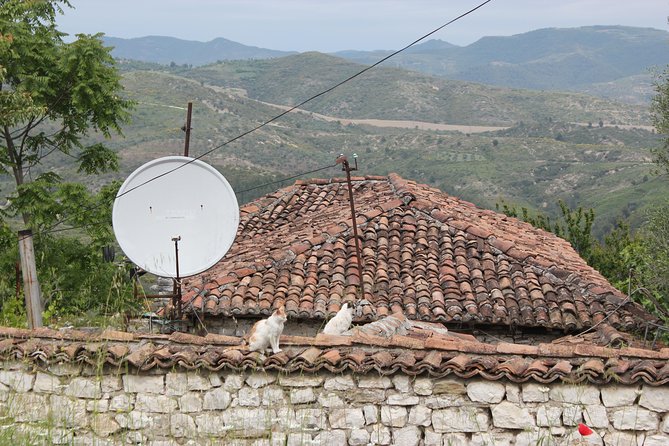 From Tirana Day Trip to Berat -Historical Walking - The Sum Up: Who Should Consider This Tour?