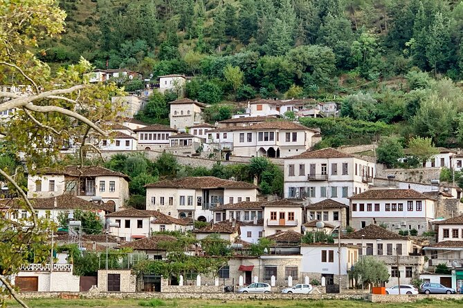 From Tirana: Small Group Day Trip to Berat & Belsh Lake - Additional Information