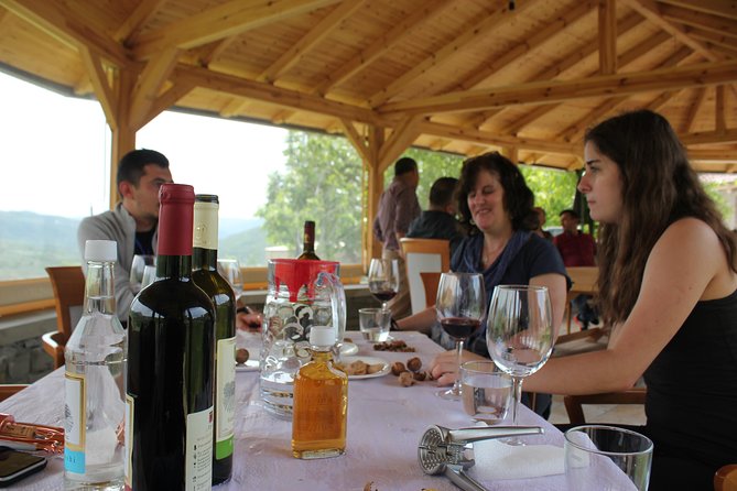 From Tirana Wine Tasting & Food tour in Berat - Who Would Love This Tour?