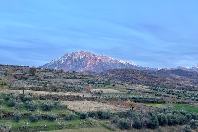 From Tirana:Day Tour of Berat, Belshi Lake and Wine Tasting - Visiting the Acclaimed Alpeta Winery