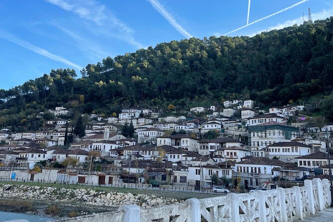 From Tirana:Day Tour of Berat, Belshi Lake and Wine Tasting - Logistics and Accessibility of the Tour